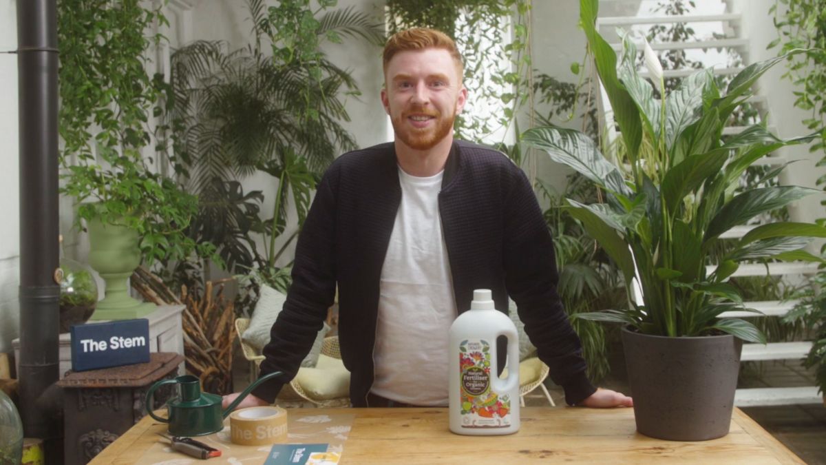 A Guide to Plant Feeding | The Stem