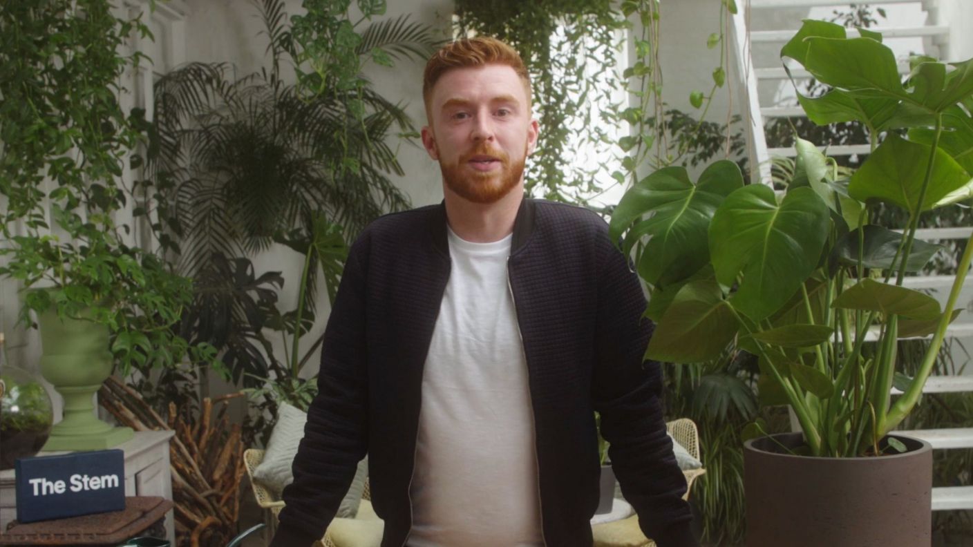 A Guide To Sunlight For Plants | The Stem