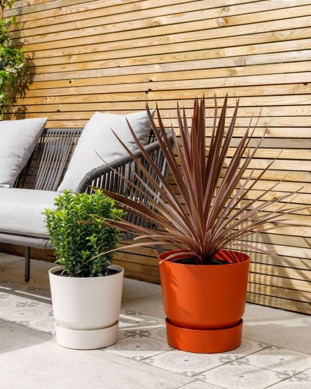 How to Care for The Different Outdoor Plants | The Stem