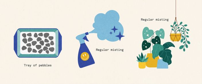 Creating the Right Climate for Your Plants | The Stem
