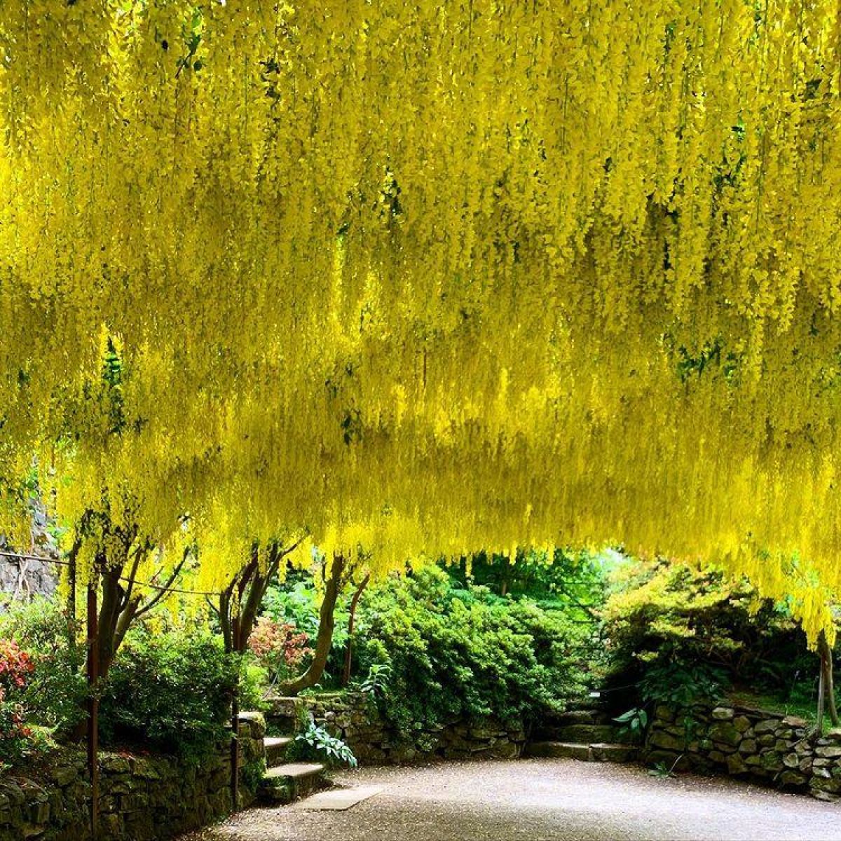 10 of The Most Beautiful UK Gardens | Plant Academy | The Stem