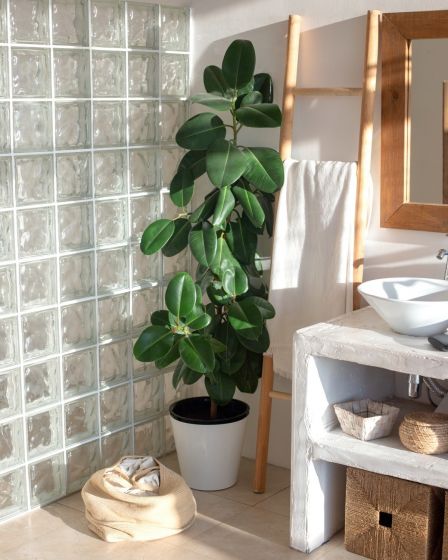 Bring The Outside In: Creating A Space To Celebrate Nature | The Stem