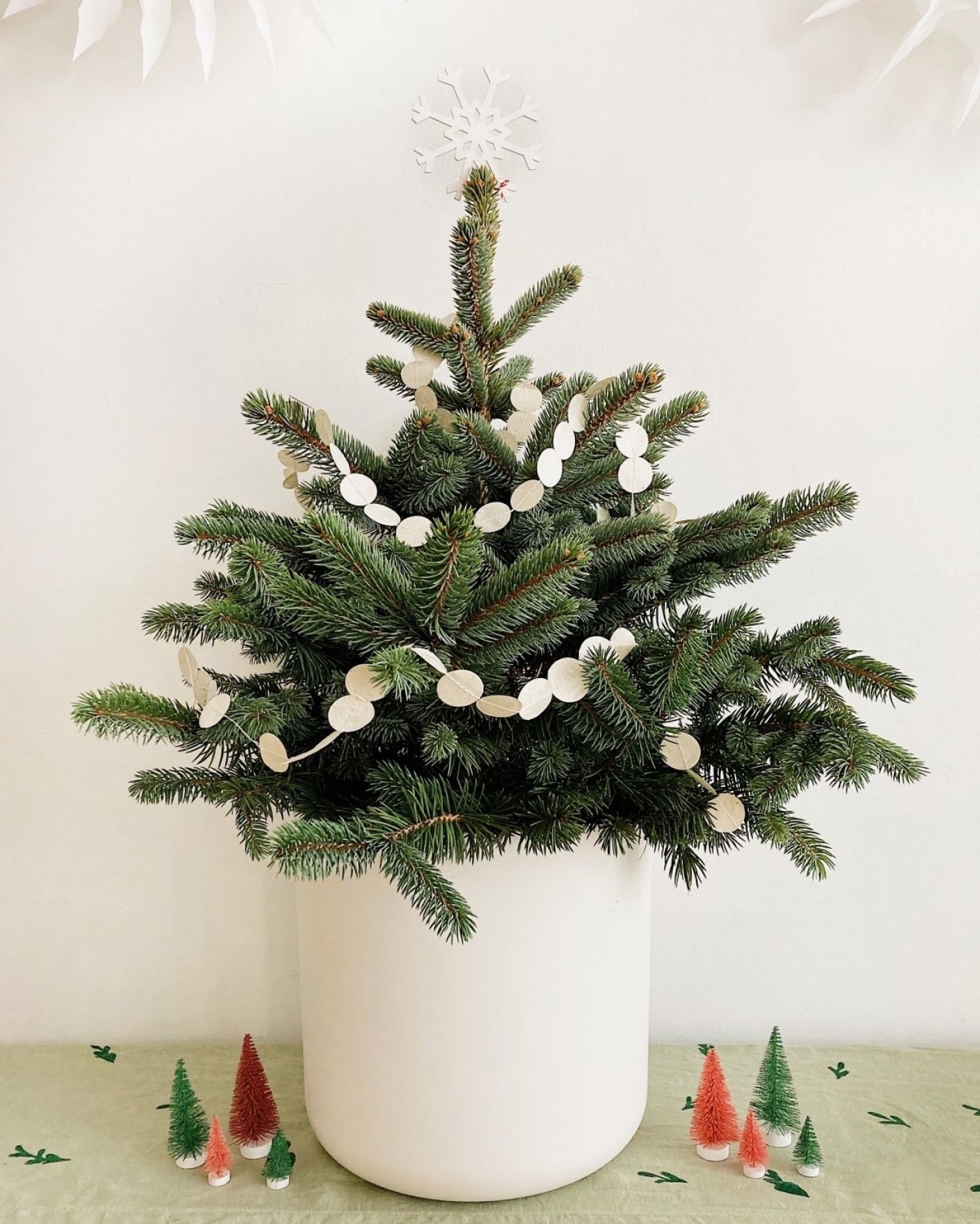 How To Start Decorating With Plants During The Festive Season | The Stem