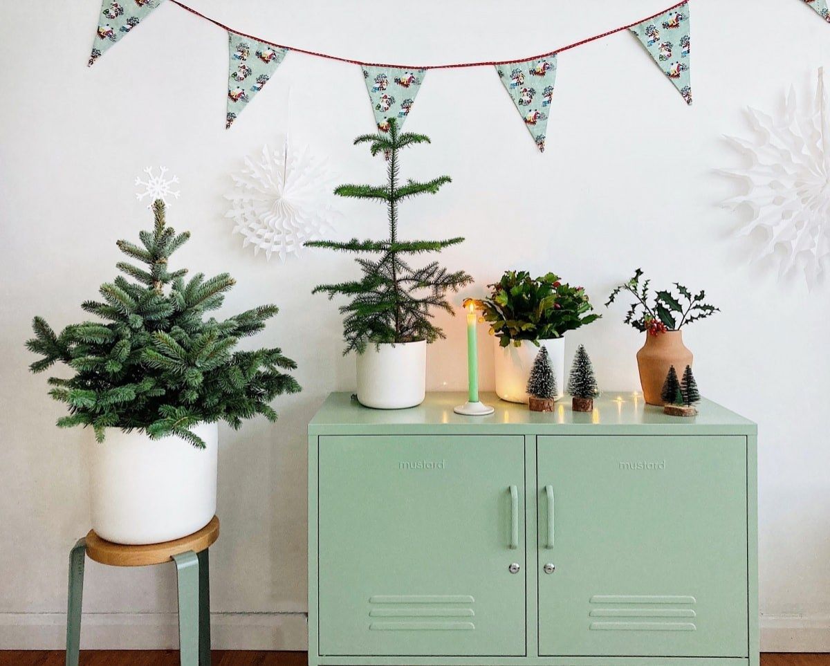 How To Start Decorating With Plants During The Festive Season | The Stem