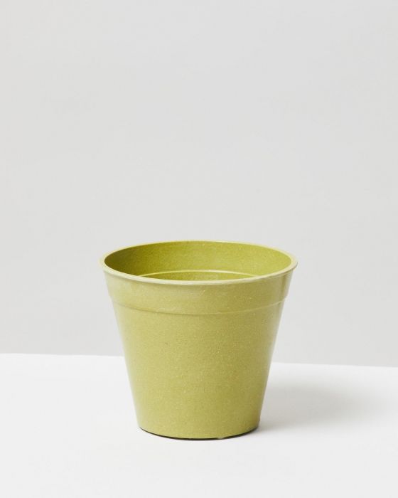 Bamboo Green Grow Pot | Plant Accessories | The Stem