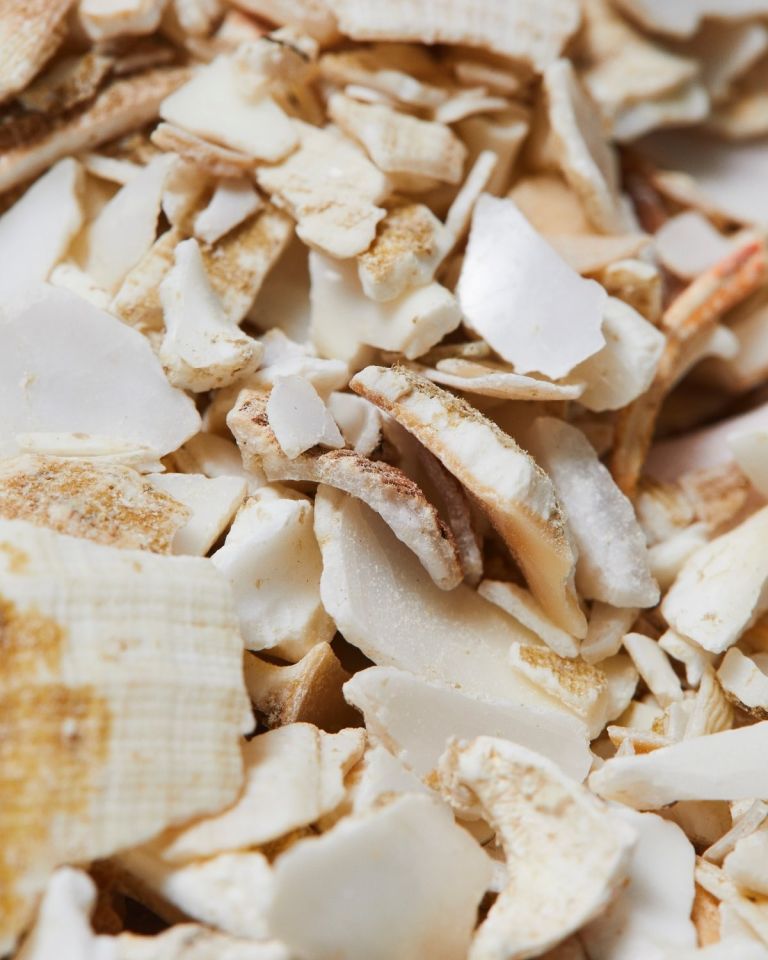 Crushed Whelk Shells | Indoor & Outdoor Plant Accessories | The Stem