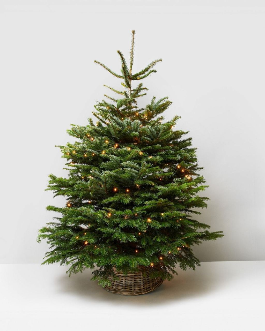 Real Cut Christmas Trees | Nordmann Fir Trees | Delivered to your door