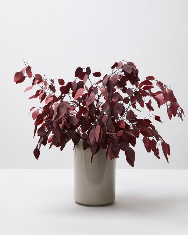Red Eucalyptus Bouquet | The Stem