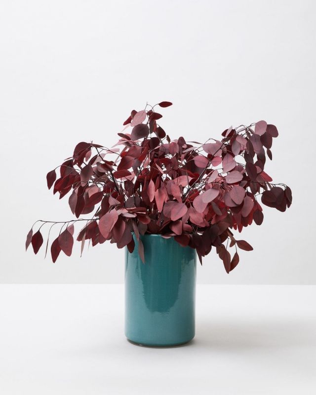 Red Eucalyptus Bouquet | The Stem