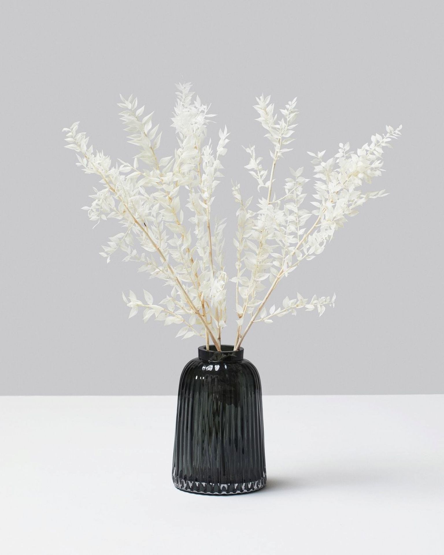 Preserved White Ruscus Bunch | The Stem