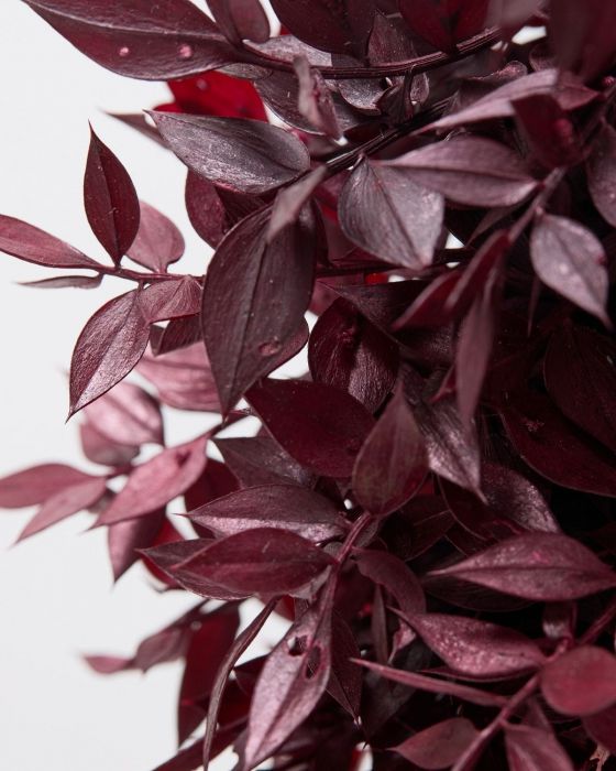 Red Ruscus Wreath | Dried Wreaths | The Stem