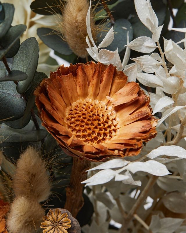 Sugarbush Sunrise Dried Flower Bouquet | Send Sustainable Flowers | The ...