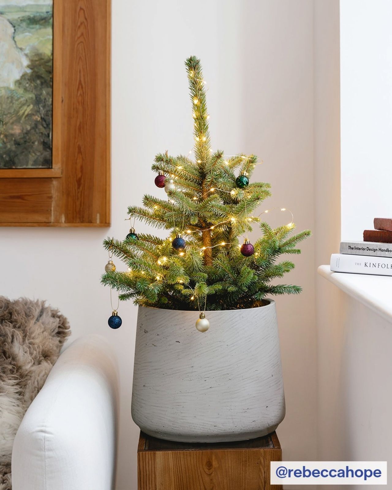 Blue Spruce Christmas Tree