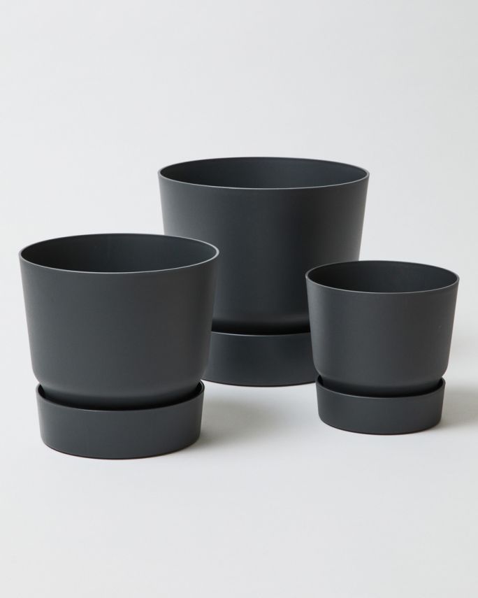 Black & Charcoal Plant Pots | Plant Pots | The Stem