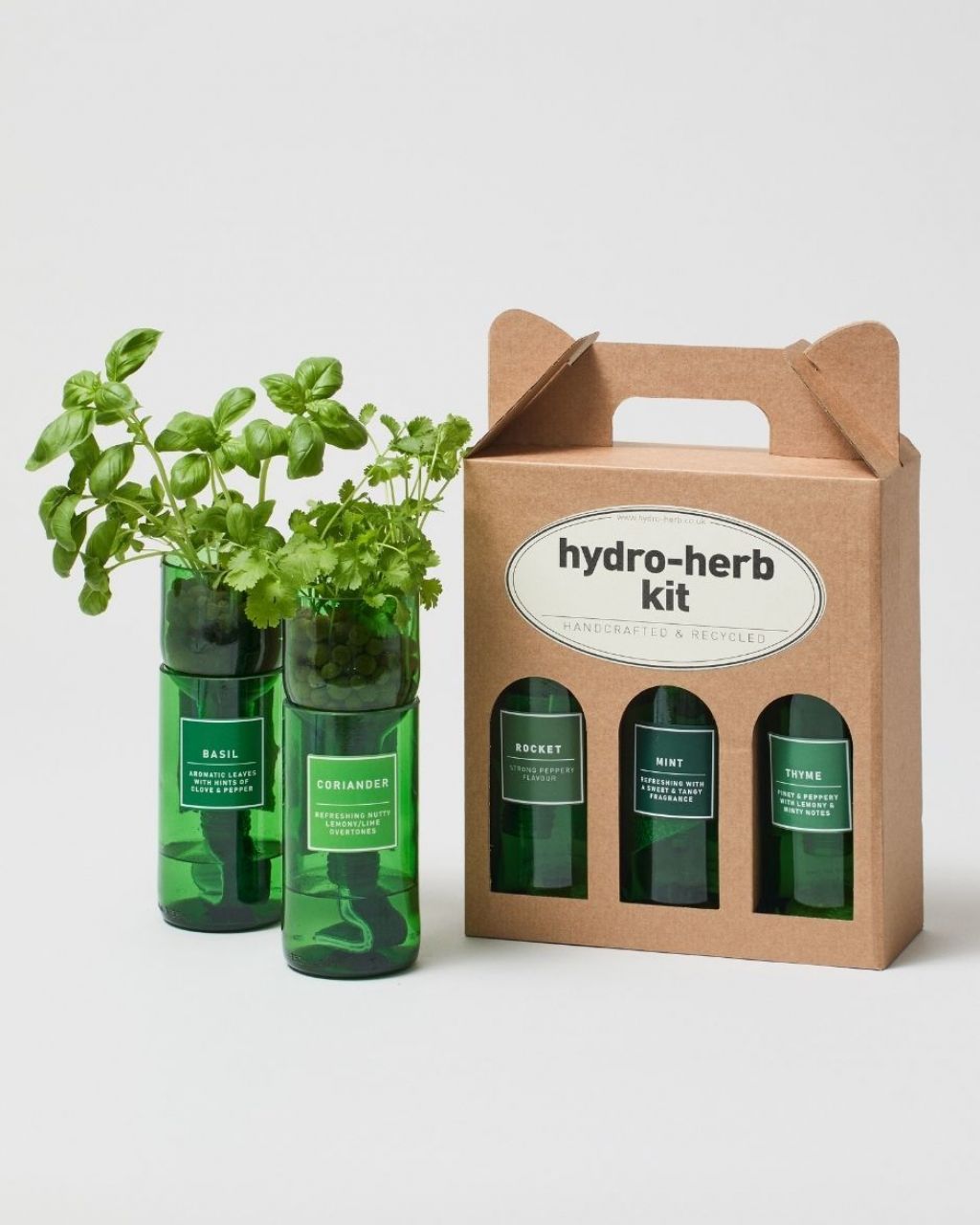 Hydro-Herb Growing Kit | Grow Your Own Herbs | The Stem